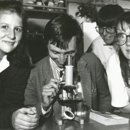 Allen Cookson - Neighbourly Blenheim, Blenheim