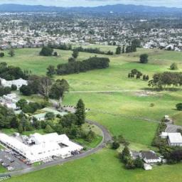 What's your take on plans for up to 1300 new homes in Ruakura ...