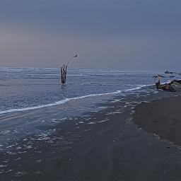 Hokio Beach - Neighbourly Foxton Beach, Foxton