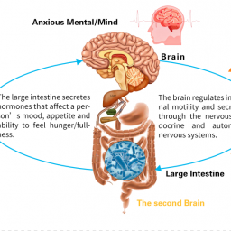 Free Consultation and free stress relief head massage - Neighbourly ...