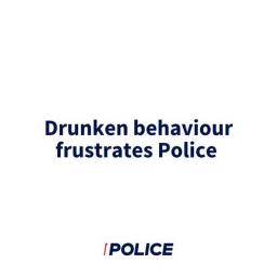 Disorderly behaviour in Hamilton CBD - Neighbourly