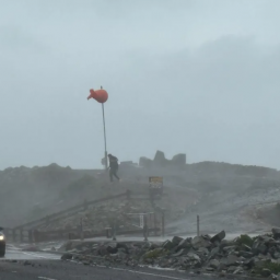 Red wind warning ⚠️ - Neighbourly