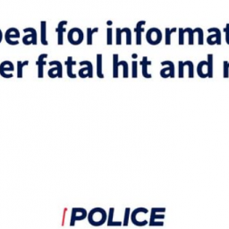 Police appeal for information after fatal hit and run, Henderson ...