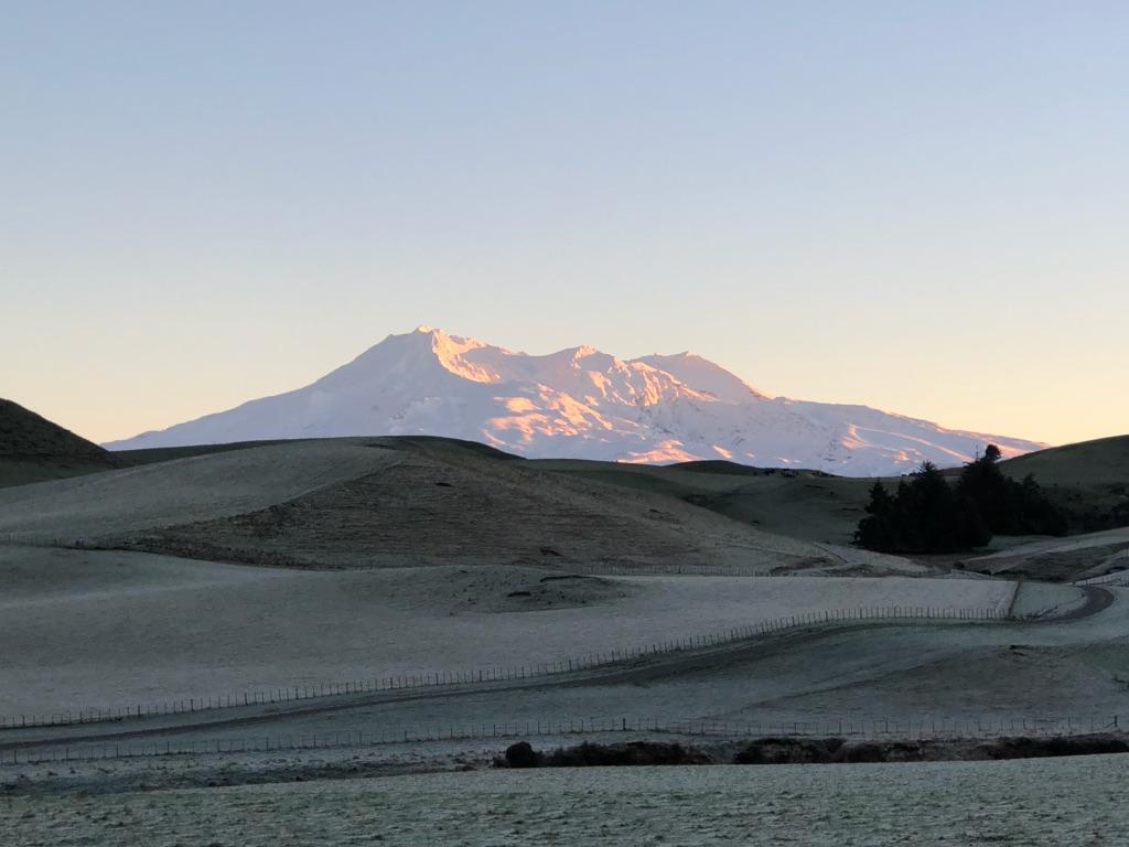 Waikanae, Waikanae - Neighbourly