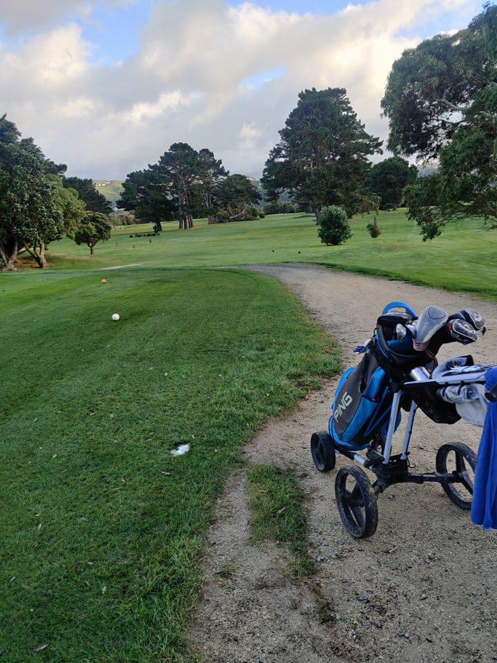 Stolen golf clubs - Neighbourly Vogeltown, Wellington