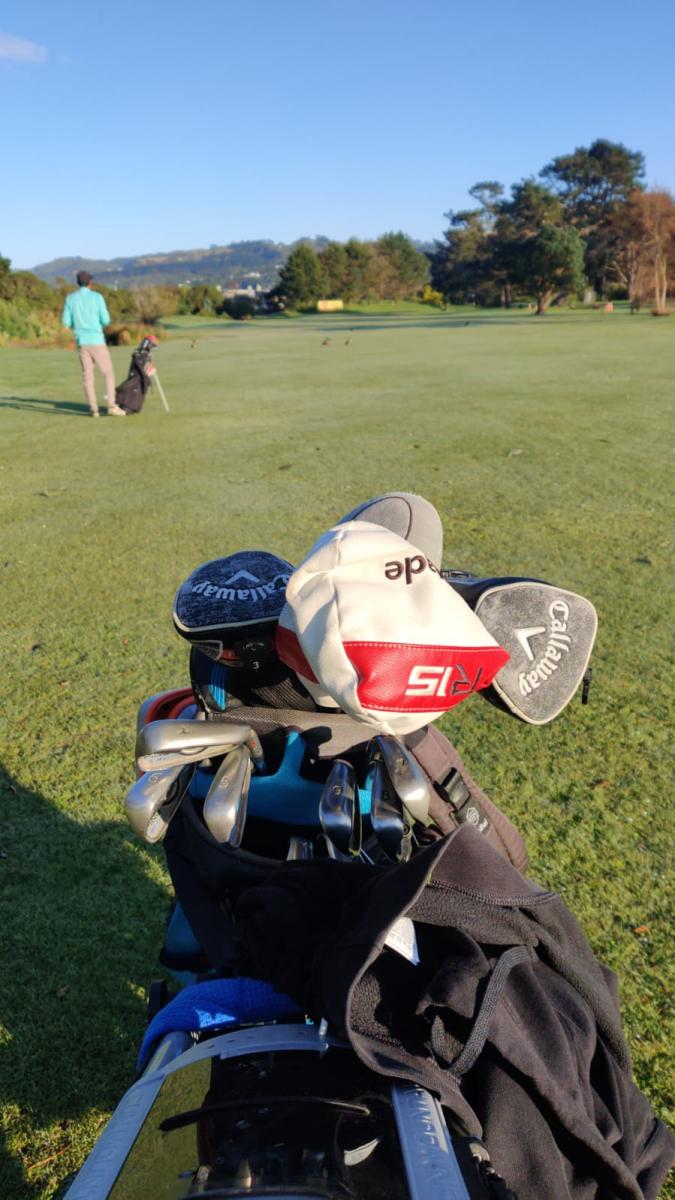 Stolen golf clubs - Neighbourly Vogeltown, Wellington