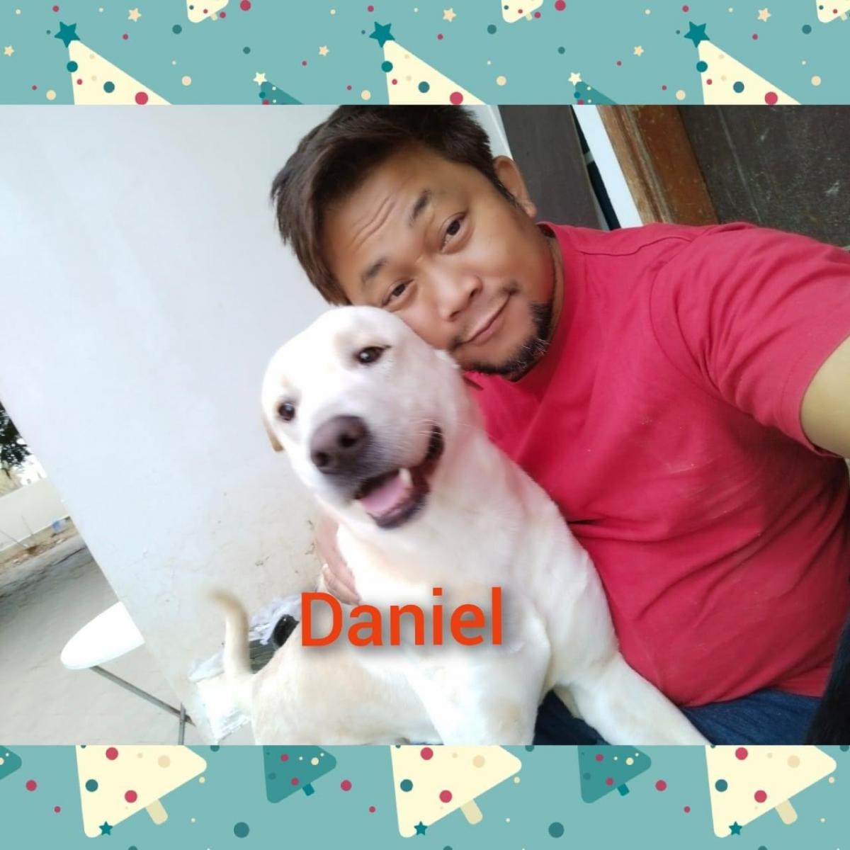 Saving the life of 19 rescued street dogs in oman - Neighbourly Orewa ...